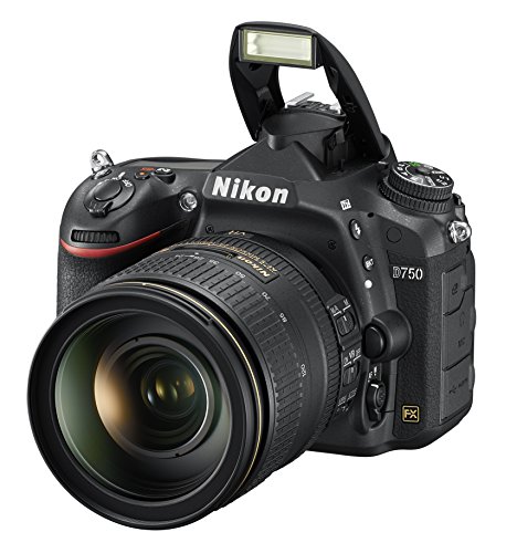 Nikon D750 w/ 24-120mm Lens