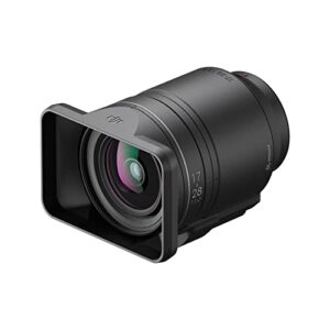 DJI DL PZ 17-28 mm T3.0 ASPH Lens, Cinema Zoom Lens with Calibration-Free Focusing, High Res from Center to Edge, 0.19m Minimum Object Distance, 520g Lightweight Body, Compatible with Ronin 4D