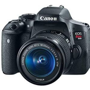 Canon EOS Rebel T6i Video Creator Kit with 18-55mm Lens, Rode VIDEOMIC GO and Sandisk 32GB SD Card Class 10 - Wi-Fi Enabled