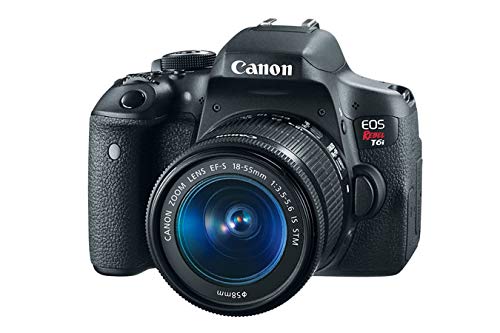 Canon EOS Rebel T6i Video Creator Kit with 18-55mm Lens, Rode VIDEOMIC GO and Sandisk 32GB SD Card Class 10 - Wi-Fi Enabled