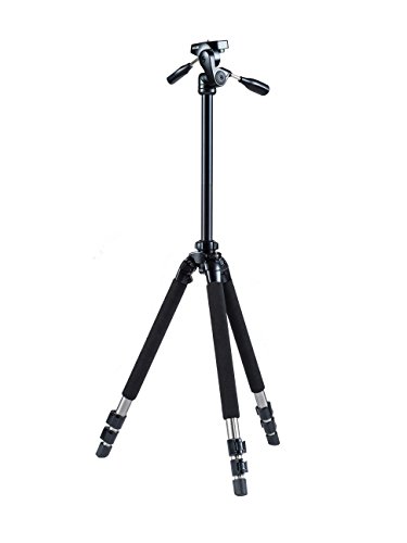 SLIK Pro 700 DX Tripod with 700DX 3-Way, Pan-and-Tilt Head - Titanium