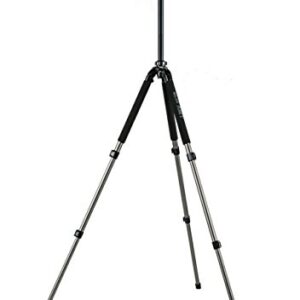 SLIK Pro 700 DX Tripod with 700DX 3-Way, Pan-and-Tilt Head - Titanium