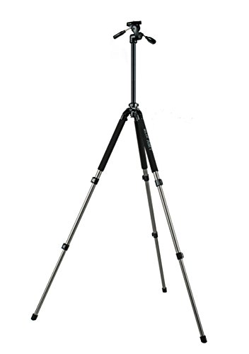 SLIK Pro 700 DX Tripod with 700DX 3-Way, Pan-and-Tilt Head - Titanium