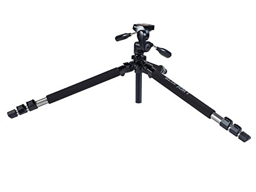 SLIK Pro 700 DX Tripod with 700DX 3-Way, Pan-and-Tilt Head - Titanium