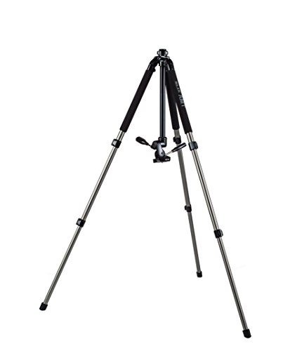 SLIK Pro 700 DX Tripod with 700DX 3-Way, Pan-and-Tilt Head - Titanium