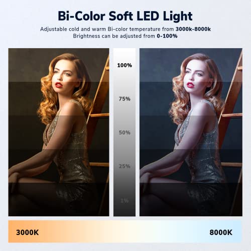 LED Video Light, IVISII 3000K~8000K Bi-Color Studio Lights with Remote/C-Clamp Stand, 2-Pack Led Panel Light, 264pcs LED&3600Lumen Photography Lighting for YouTube TikTok Game Live Stream Video