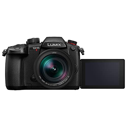 Panasonic Lumix GH5 II Mirrorless Camera with 12-60mm f/2.8-4 Lens, Kodak 64GB Memory Card and Koah Weatherproof Hard Case Bundle (3 Items)