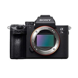 Sony Alpha a7 III Mirrorless Digital Camera - Body Only with Deluxe Striker Bundle: Includes – Memory Cards, Large Tripod, Camera Bag, Extra Battery, Cleaning Kit, and More