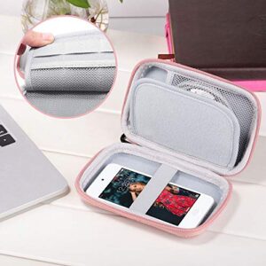 ULAK MP3 MP4 Player Case Bag Compatible with iPod Touch 7th/6th/5th Generation/Soulcker/Sandisk MP3 Player/G.G.Martinsen/Sony NW-A45 Fit for Earphones, USB Cable, Memory Cards, Glitter