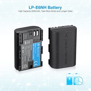 Powerextra LP-E6NH High Capacity Batteries 2950mAh Compatible with Canon LP-E6NH Battery and R5 R6 90D 60D 70D 80D 5D II 5D III 5D IV 5Ds 6D 6D II 7D 7D Mark II Cameras