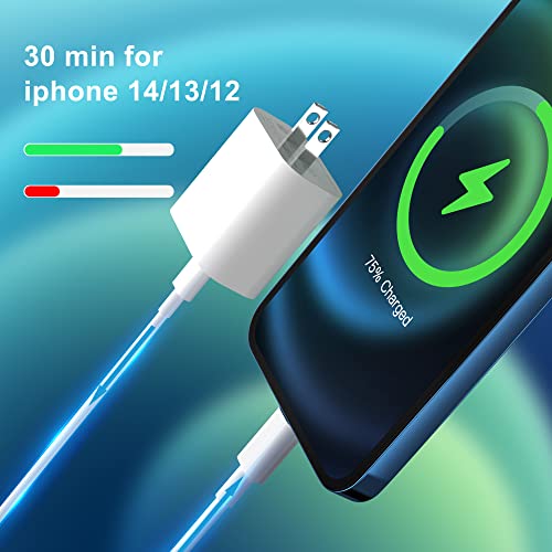 2Pack [Apple MFi Certified] iPhone Charger Fast Charging for Apple iPhone USB C Charger Block PD Wall Plug with 10ft USB C to Lightning Cable for iPhone 14/13/12/11/Pro Max/Mini/Pro/XR/iPad/Plus