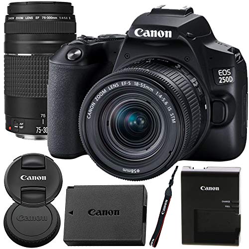 Canon EOS 250D (SL3) Black with EF-S 18-55mm f/4-5.6 is STM Lens and Canon EF 75-300mm f/4-5.6 III Lens in Professional Deluxe Basic Bundle