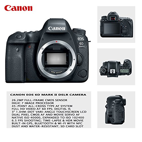 Canon EOS 6D Mark II DSLR with EF 24-105mm f/3.5-5.6 is STM Lens with Pro Camera Battery Grip, Professional TTL Flash, Deluxe Backpack, Spare LP-E6 Battery (17 Items)