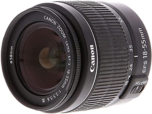 Canon EOS 2000D Rebel T7 Kit with EF-S 18-55mm f/3.5-5.6 III Lens + Accessory Bundle + Rtech Digital Cloth