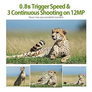 rouroumaoyi Tracking Camera Hunting Camera 20MP 1080P Motion Digital Infrared IP66 Waterproof 0.2S Trigger Speed Trail Camera for Wildlife Watching