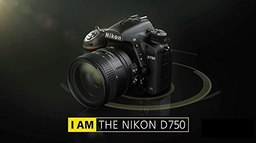 Nikon D750 DSLR Camera with Nikon 24-120mm f/4G Lens Professional Kit