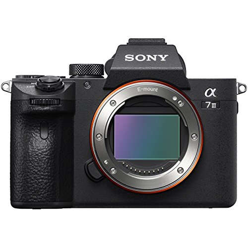 Sony Alpha A7 III 4K Digital Camera Body & FE 24-105mm f/4 Lens + 64GB Card + Battery + Backpack + 3 Filters + Flash + Tripod + Kit