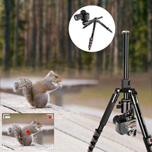 Portable and Stable Smvchen 70" Axis Horizontal Tripod Monopod for DSLR Cameras and Phone with 360°Ball Head and Rotatable Center Column 5-Section Aluminum Alloy Tripod Max. Load Capacity 10kg(Red)