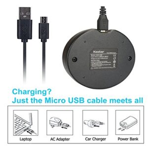 Kastar Dual USB Charger for NB-11L A2400 is A3400 is A4050 is, SX400 is SX410 is SX420 is, ELPH 170 is ELPH 350 HS ELPH 360 HS, IXUS 125 HS 150 IXUS 155 IXUS IXUS 240 HS IXUS 285 HS