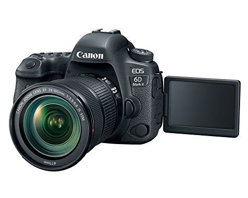 Canon EOS 6D Mark II with EF 24-105mm IS STM Lens - WiFi Enabled (Renewed)