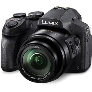 Panasonic Lumix DMC-FZ300 Digital Camera (DMC-FZ300K) - Bundle - with 64GB Memory Card + DMW-BLC12 Battery + Digital Flash + Soft Bag + 12" Flexible Tripod + Cleaning Set + 52mm UV Filter + More