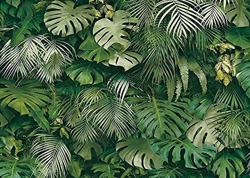 Tropical Green Leaves Theme Photography Backdrops 7X5FT Vinyl Wedding Bride Shower Party Decor Newborn Baby Shower Banner Photo Background Studio Shooting Props