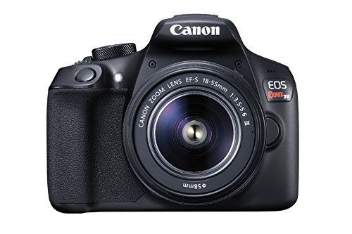 Canon EOS Rebel T6 Digital SLR Camera Kit with EF-S 18-55mm f/3.5-5.6 DC III Lens (Black)