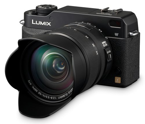 Panasonic DMC-L1 7.5MP Digital SLR Camera with Leica 14-50mm f2.8-3.5 Mega O.I.S. Lens