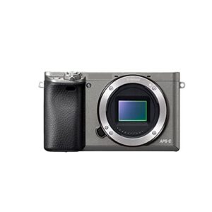 DYOSEN Digital Camera A6000 Mirrorless Digital Camera Body Only Silver ILCE-6000-24.3MP -Full HD Video Digital Camera Photography (Color : C)