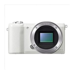 DYOSEN Digital Camera A6000 Mirrorless Digital Camera Body Only Silver ILCE-6000-24.3MP -Full HD Video Digital Camera Photography (Color : C)