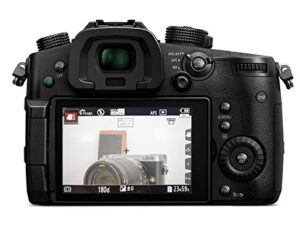 panasonic dmw-sfu1-vlog lumix v-log l function firmware upgrade kit, usa model version,black