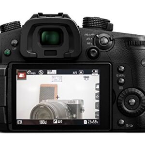 Panasonic DMW-SFU1-VLOG Lumix V-Log L Function Firmware Upgrade Kit, USA Model Version,Black