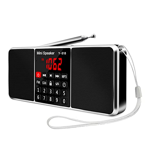 LEFON Multifunction Digital FM Radio Media Speaker MP3 Music Player Support TF Card USB Drive with LED Screen Display and Setting Timing Shutdown Function (Black)