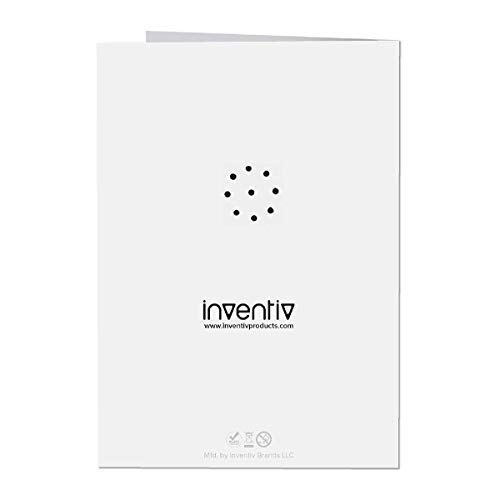 2 Pack, Inventiv 30 Second Recordable DIY Greeting Card, Voice Recorder Module, Blank White/Apply Custom Design Artwork