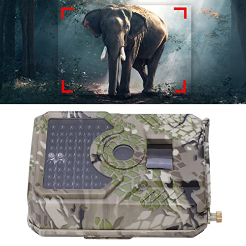 Socobeta Hunting Camera, 12MP 1080P Wildlife Camera IP56 Waterproof 0.8s Photographing Infrared Lights Sturdy for Villa House Monitoring