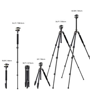 K&F Concept 64 inch/161cm Camera Tripod, Compact Aluminum Alloy Travel Tripods with 28mm Metal Ball Head 10KG/22lbs Load Capacity, Detachable Monopod, for SLR DSLR Digital Camera(B234A1+BH-28L)