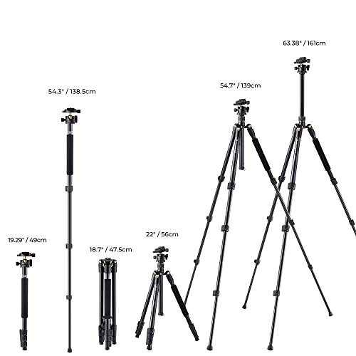 K&F Concept 64 inch/161cm Camera Tripod, Compact Aluminum Alloy Travel Tripods with 28mm Metal Ball Head 10KG/22lbs Load Capacity, Detachable Monopod, for SLR DSLR Digital Camera(B234A1+BH-28L)