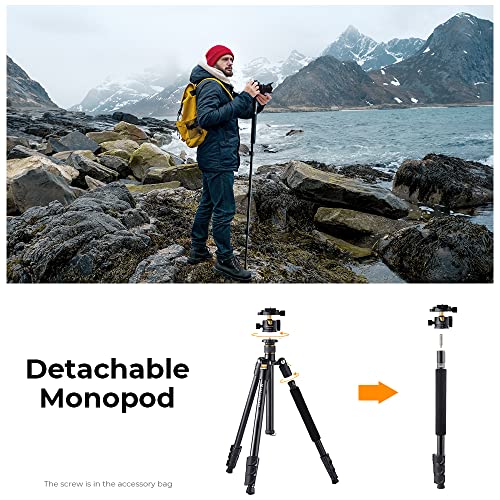 K&F Concept 64 inch/161cm Camera Tripod, Compact Aluminum Alloy Travel Tripods with 28mm Metal Ball Head 10KG/22lbs Load Capacity, Detachable Monopod, for SLR DSLR Digital Camera(B234A1+BH-28L)