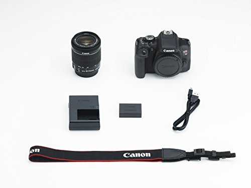 Canon EOS Rebel T6i Digital SLR with EF-S 18-55mm is STM Lens - Wi-Fi Enabled