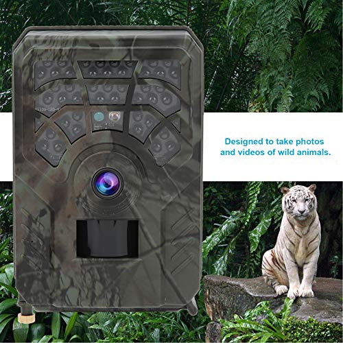 AOER High Definition Hunting Camera, PR300C Can Be Fixed to The Trunk by Fixing Strap It Infrared Camera for Outdoor