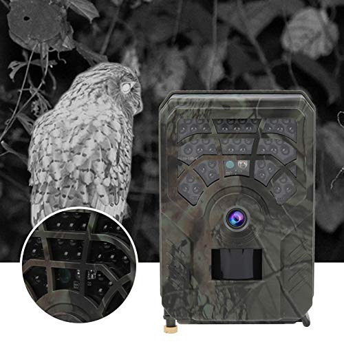 AOER High Definition Hunting Camera, PR300C Can Be Fixed to The Trunk by Fixing Strap It Infrared Camera for Outdoor