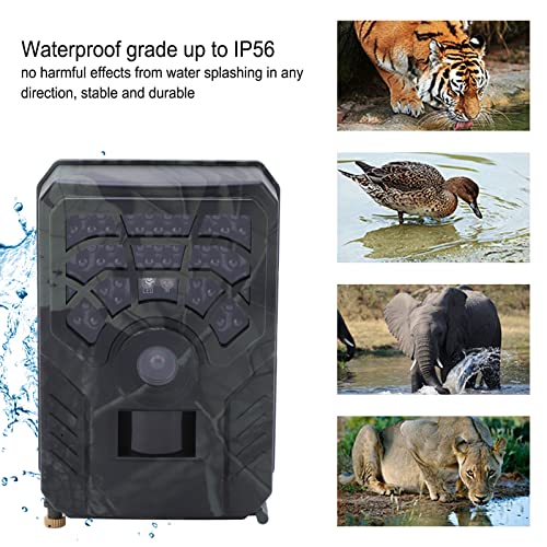 Bediffer 5MP 720P Trail Camera, IP56 Waterproof Wildlife Monitoring Hunting Camera Professional 1MP Color CMOS with Strap for Orchard Farm