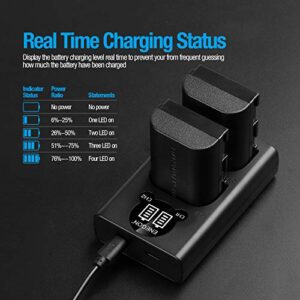 ENEGON LP-E6 Rechargeable Battery Pack (2pack) and Dual USB LED Charger, Compatible with Canon LP-E6, LP-E6N and Canon EOS R,R5,R6,5D Mark II III IV, 5Ds, 5DS R, 6D, 7D, 7D Mark II, 60D, 70D, 80D,90D