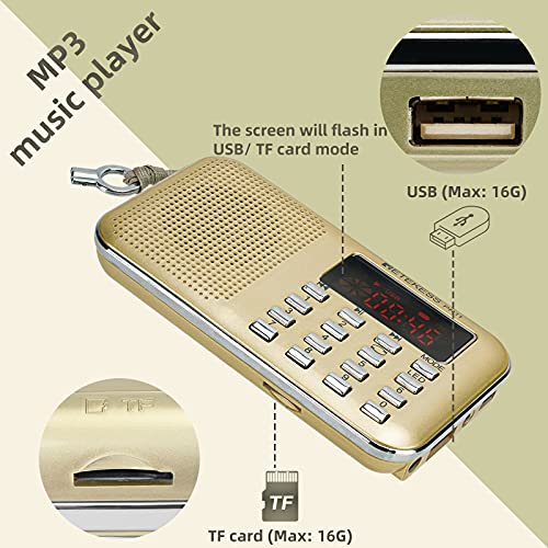 Retekess PR11 AM FM Radio Portable, Rechargeable Transistor Radios Small, with Headphone Jack MP3 Music Player Speaker Support Micro SD Card for Outdoor (Gold)