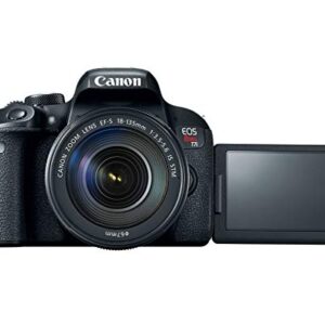 Canon EOS REBEL T7i EF-S 18-135 IS STM Kit (Renewed)