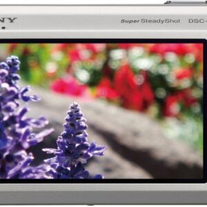 Sony Cybershot DSC-T70 8.1MP Digital Camera with 3x Optical Zoom with Super Steady Shot Image Stabilization (Silver)