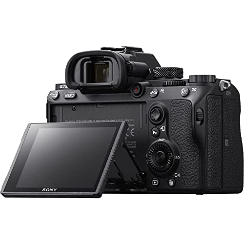 Sony a7 III Mirrorless Camera (Black) with Sony FE 28-70mm f/3.5-5.6 Bundle + Accessories (LED Light, 256Gb Memory, Extra Batteries and More)