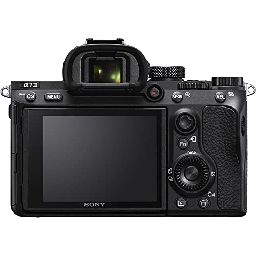 Sony a7 III Mirrorless Camera (Black) with Sony FE 28-70mm f/3.5-5.6 Bundle + Accessories (LED Light, 256Gb Memory, Extra Batteries and More)