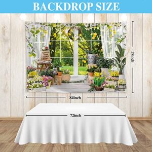 Allenjoy 84" x 59" Spring Window Scenery Backdrop for Photography Nature Forest Landscape Sunshine Easter Garden Photo Background Newborn Baby Photoshoot Props