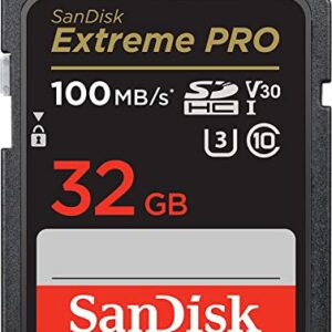 SanDisk 32GB (Ten Pack) SD HC Extreme Pro Memory Card for Digital DSLR Camera SDHC 4K V30 UHS-I (SDSDXXG-032G-GN4IN) with Everything But Stromboli (TM) 3.0 SD/TF Reader